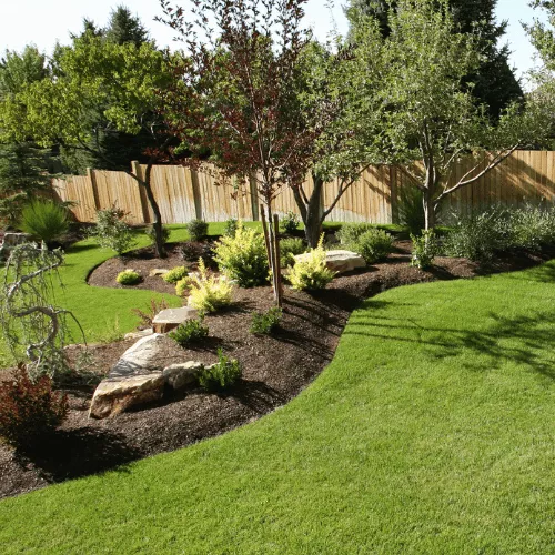 About - Texas Tree Transformations