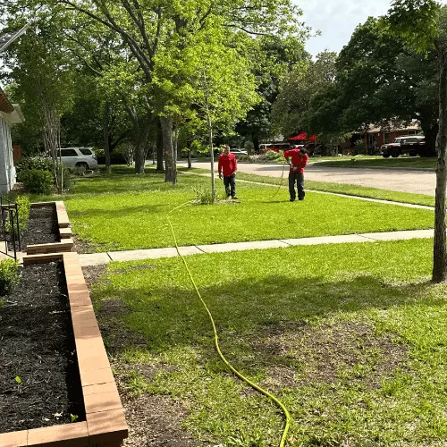 Services - Texas Tree Transformations