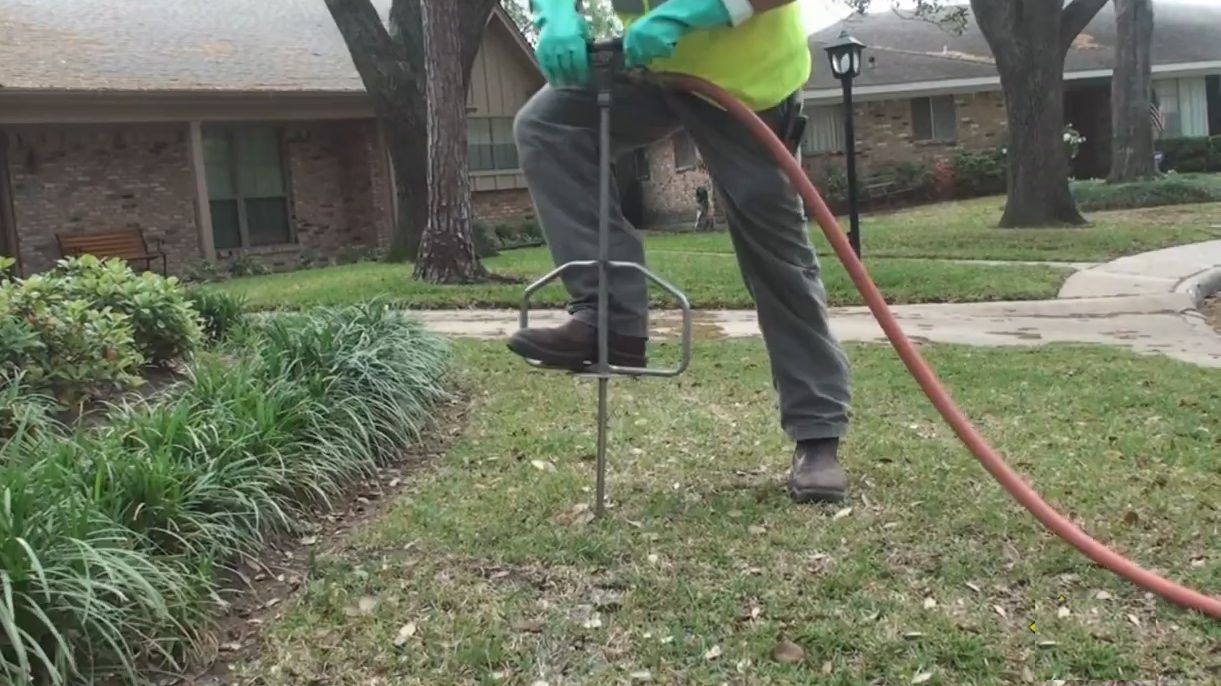 Deep Roots in Dallas: Advanced Tree Fertilization Strategies - Texas ...