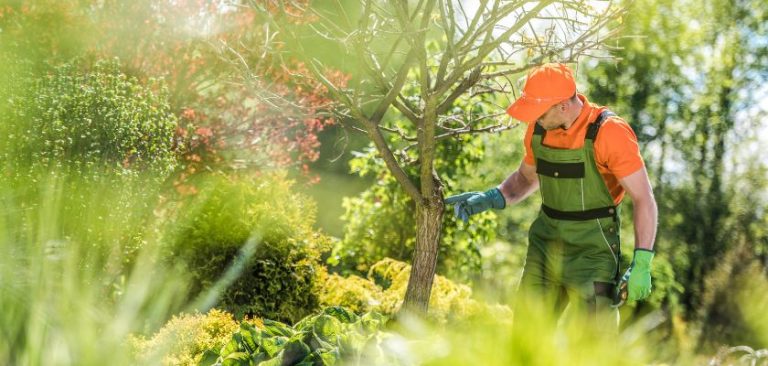 How to Conduct a Tree Survey: A Step-by-Step Guide - Texas Tree ...
